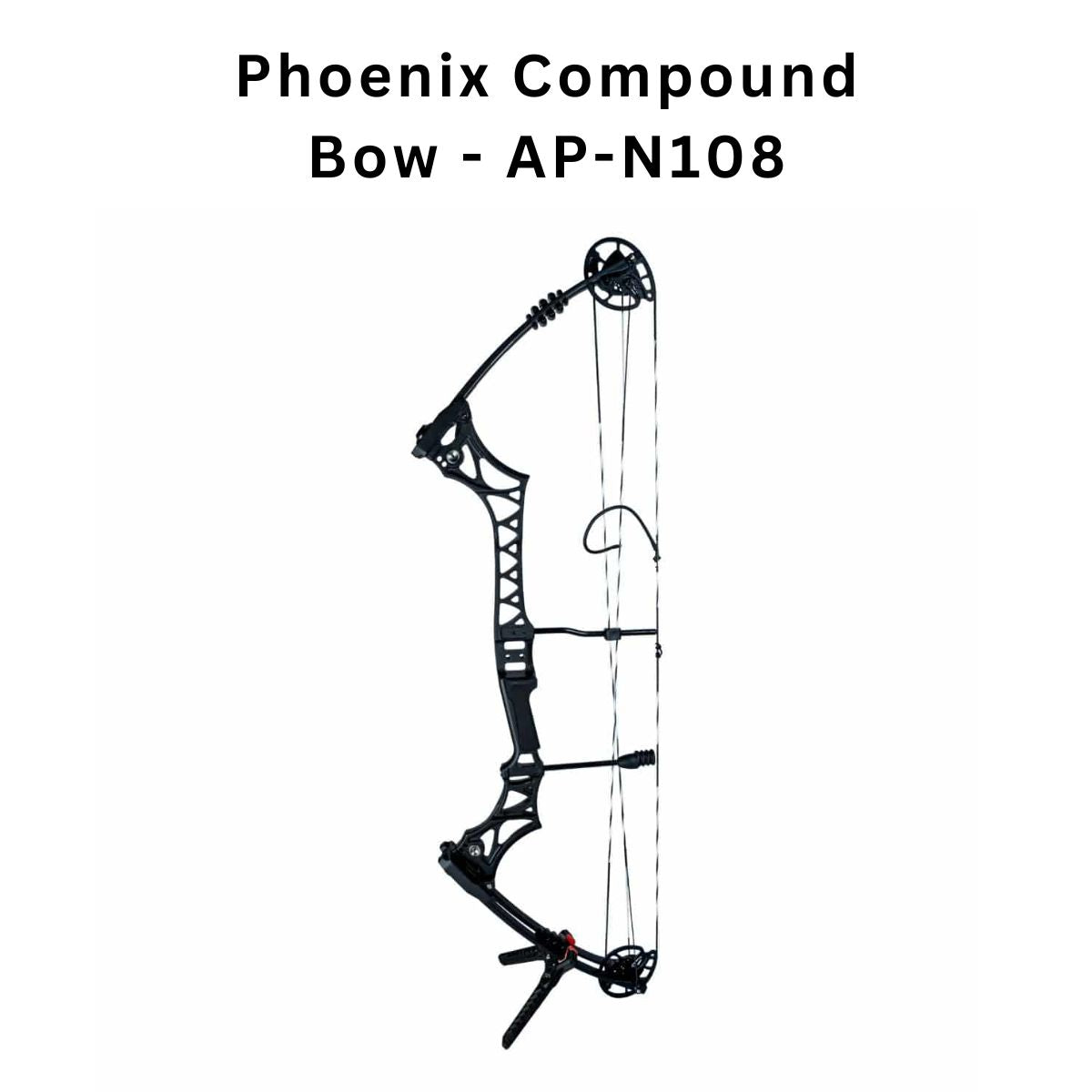 ARMOR Phoenix Compound Bow - AP-N108 + Arrow Sets + Archery Accessorie ...