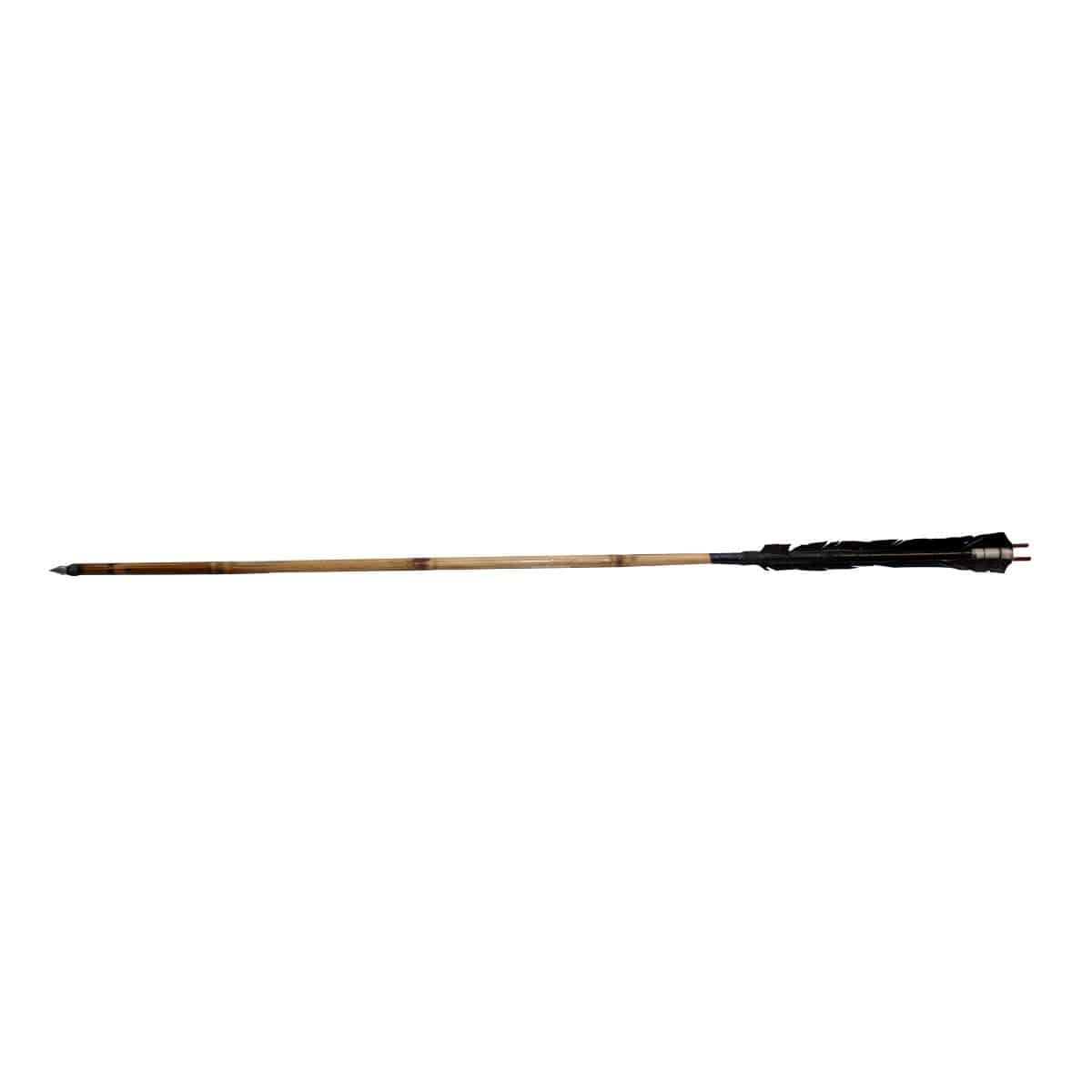 Armor Whip Cane Arrow Set - ACA-03 - Archery Equipment ...